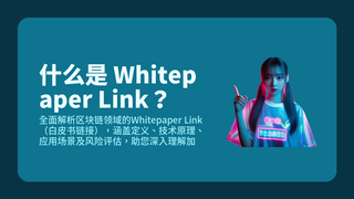 什么是 Whitepaper Link？