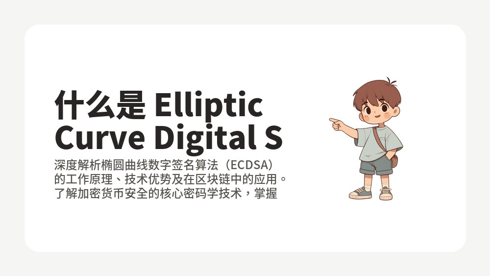 什么是 Elliptic Curve Digital Signature Algorithm（ECDSA）？